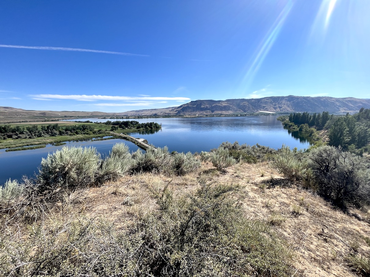 Have Some Blueberries! – Jay's & Pat's Adventures