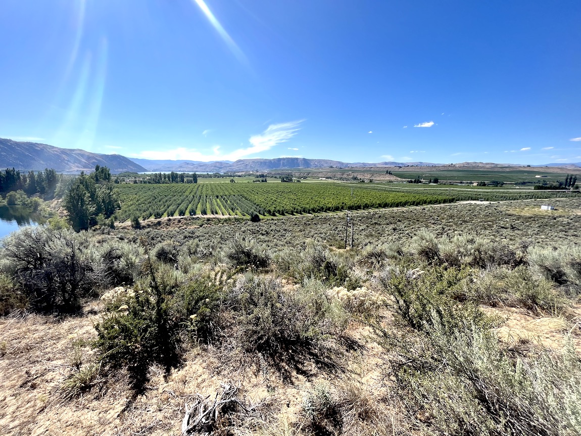 Have Some Blueberries! – Jay's & Pat's Adventures